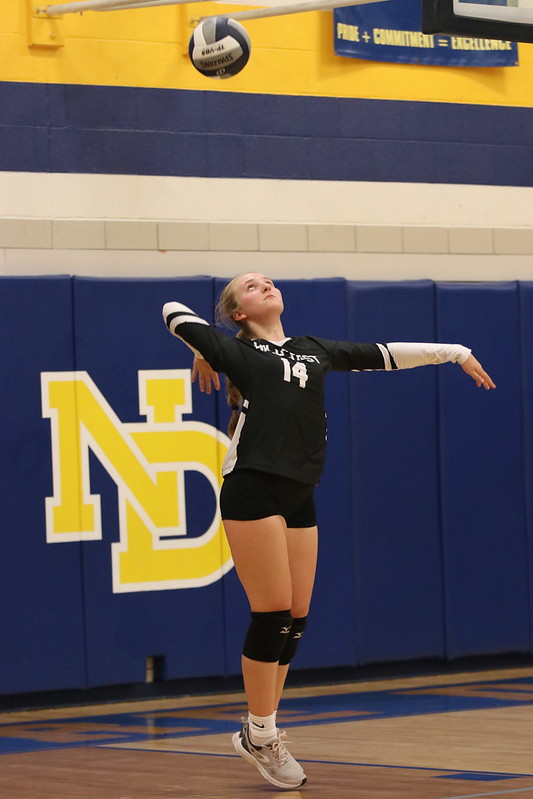 Ravens Volleyball Make Gold Bracket of Defending State Champions ...