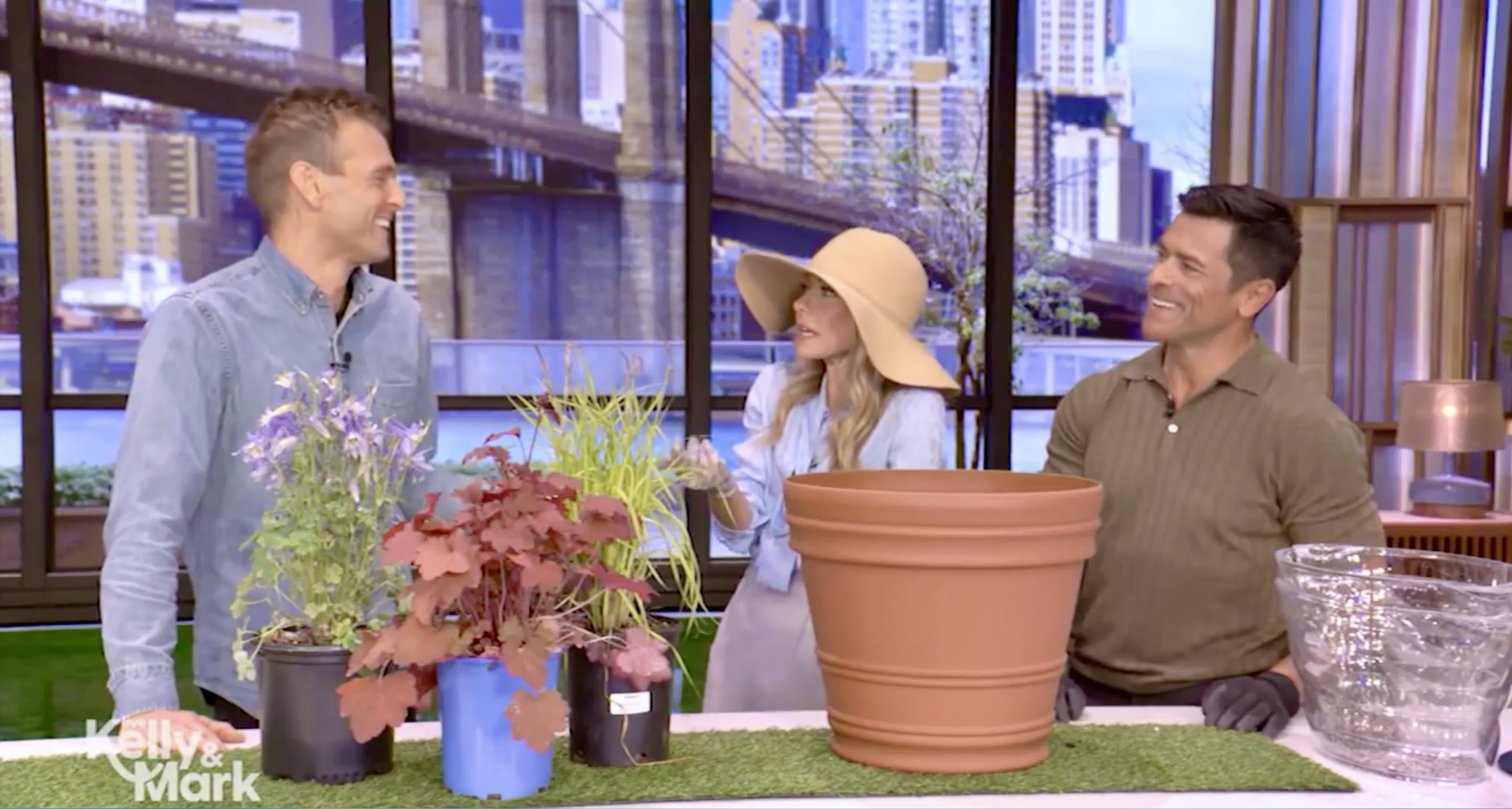 Did You See Him? Hillcrest's Kaleb Wyse Gives Spring Gardening Secrets ...